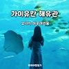 일본 오사카 아쿠아리움 가이유칸 수족관 해유관 난바역에서 가는 방법 입장권 할인 꿀팁 네이버 블로그